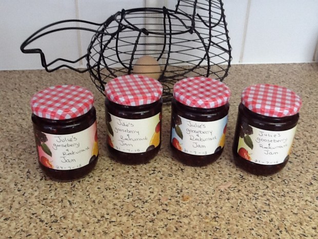 Julie’s Experience – Ashbrook Allotments